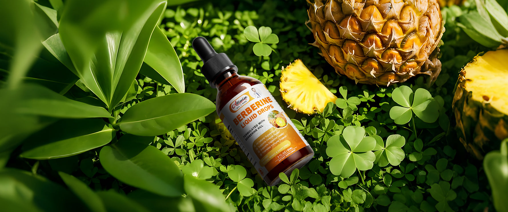 ALL I WISE - Provide a more convenient and effective healthy lifestyle ...